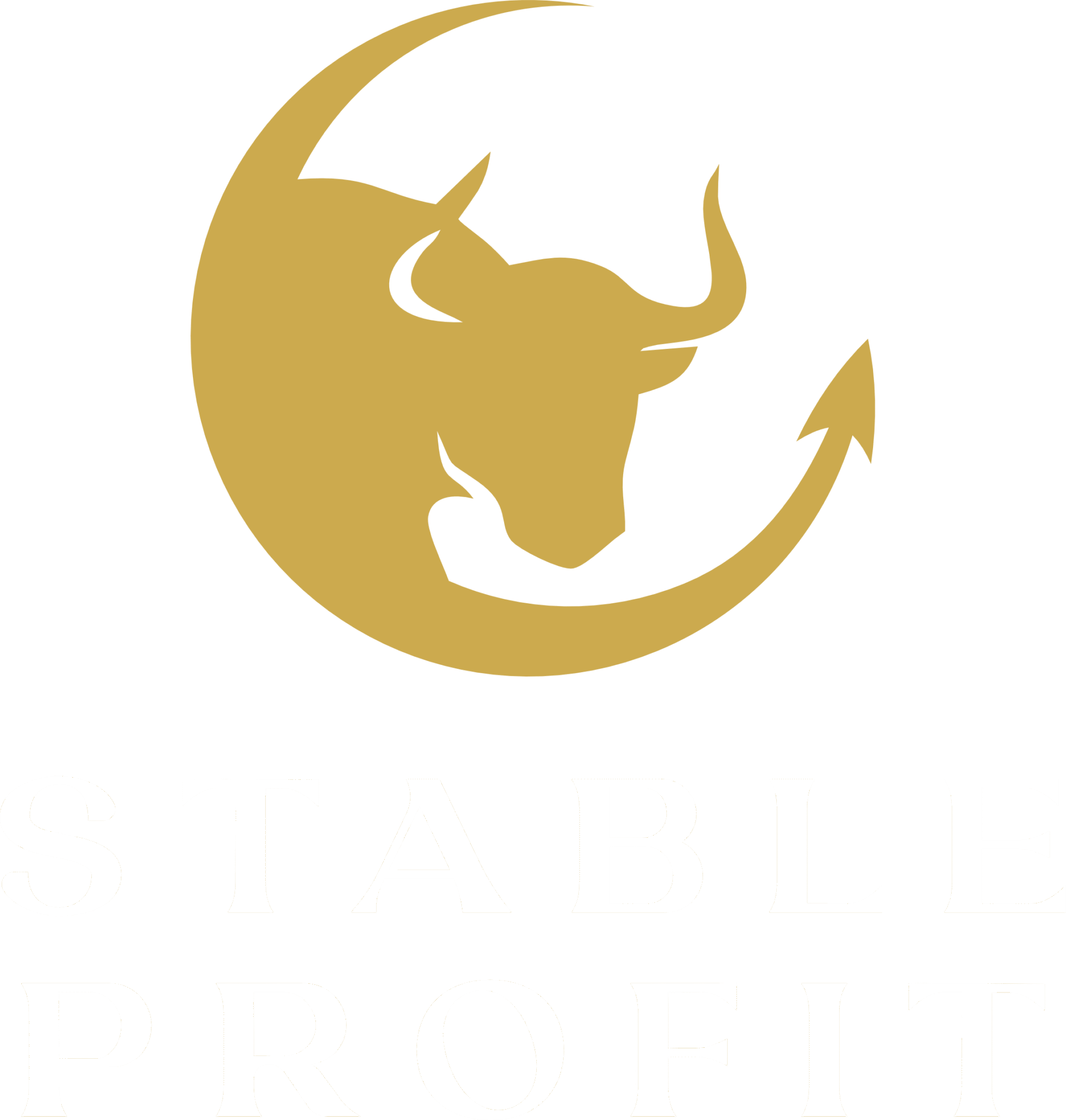 O NAS – STABLE PROFIT